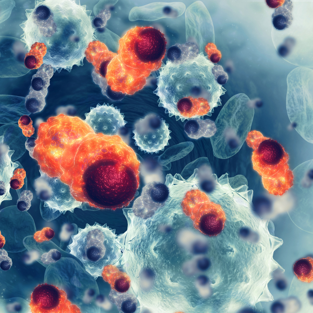 Carle Illinois researchers among Cancer Center at Illinois 2022 grant ...